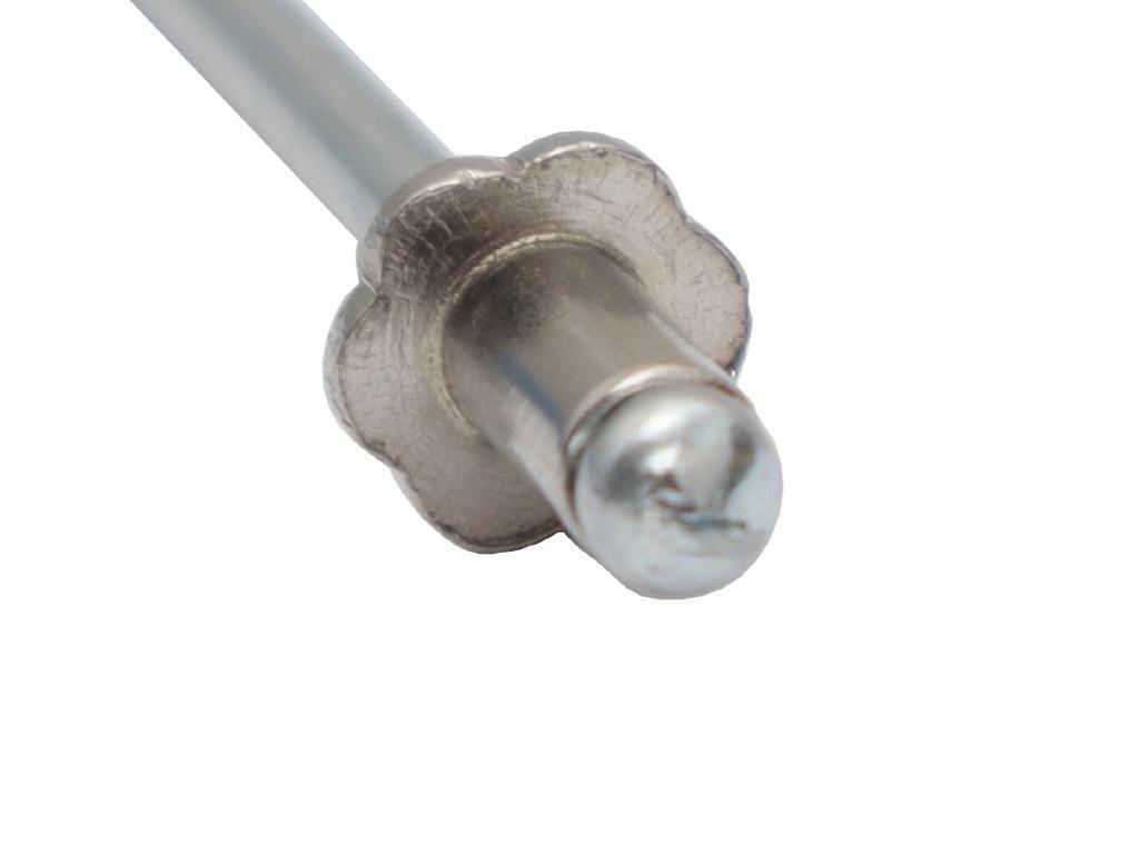 RS-RV1000 6pc ID Plate Rosette Rivet Kit for Holden VN VQ VG VP VR VS ...