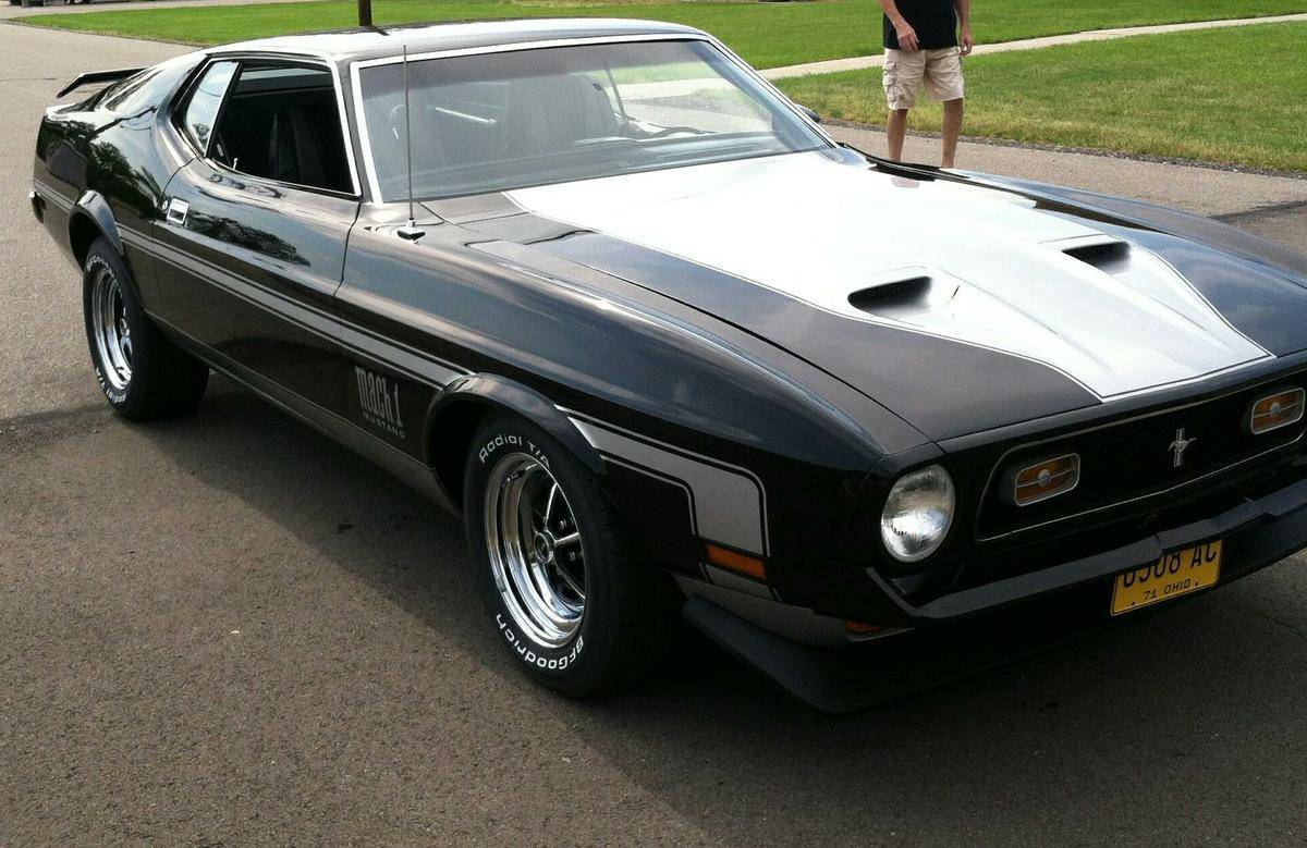 Graphics Express 841-ST 1971-73 Mustang Mach 1 / Nasa (Naca) Hood Paint ...