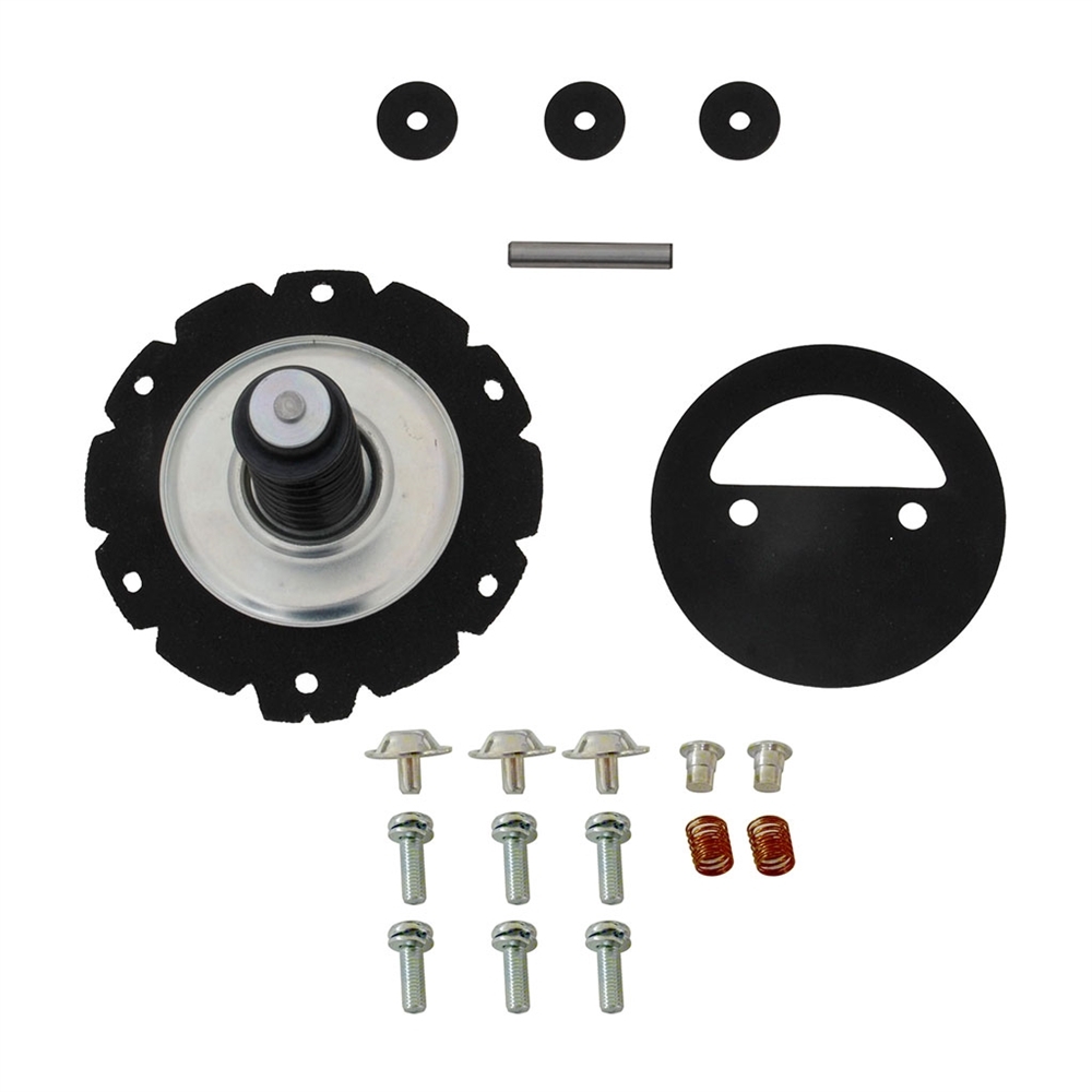 1968 - 1971 Mustang Carter Fuel Pump Rebuild Kit - Boss 302 429 428 PI ...