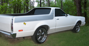 Graphics Express A658-XX-XX 1977-79 Ranchero Custom 5pc Upper Stripe ...