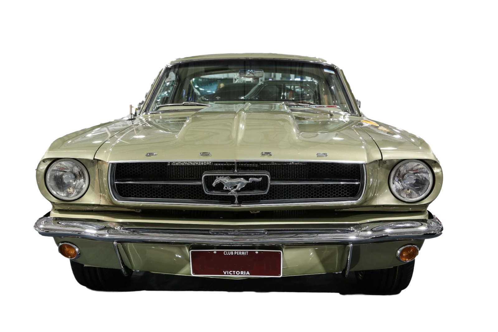 Custom Mustangs COWL-X Z/28 Style Reverse Cowl Bonnet Scoop, Bond On